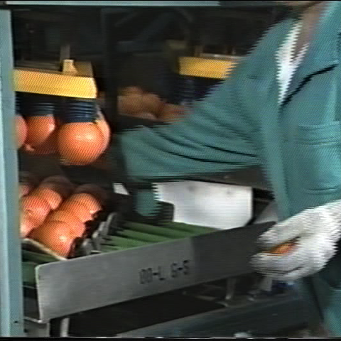 Reducing Unsafe Acts - Agriculture — AP Safety Training