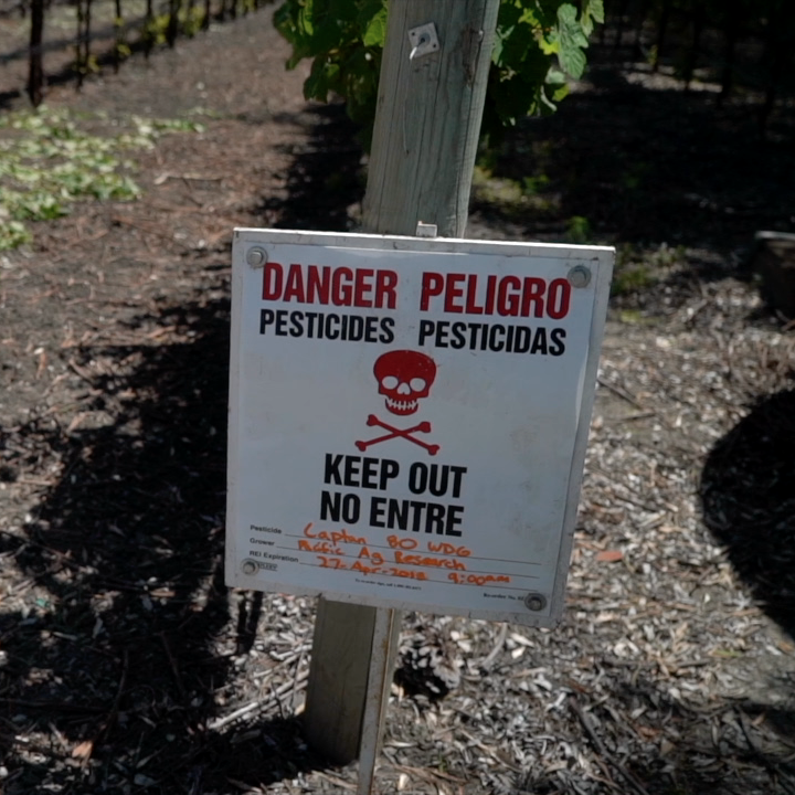 Pesticide Safety Basics — AP Safety Training
