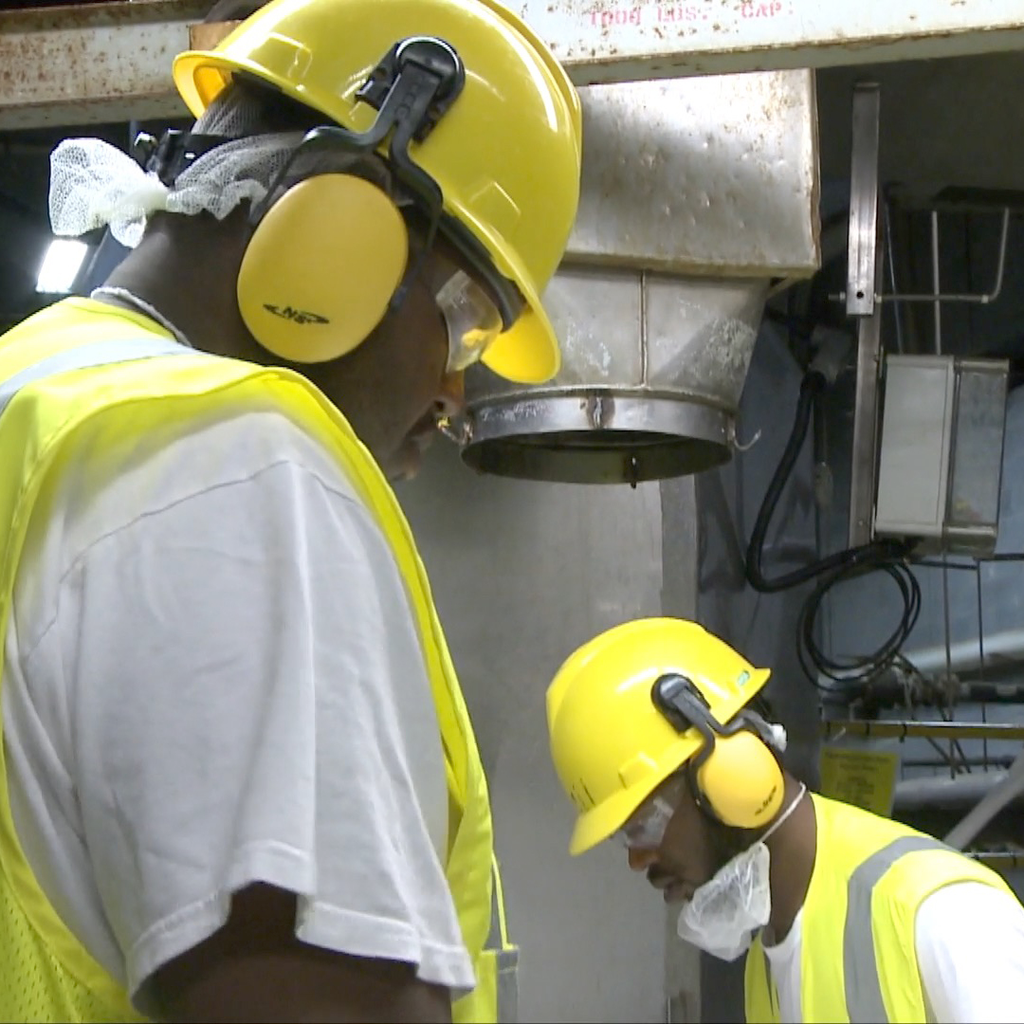 Hearing Protection Collection — AP Safety Training